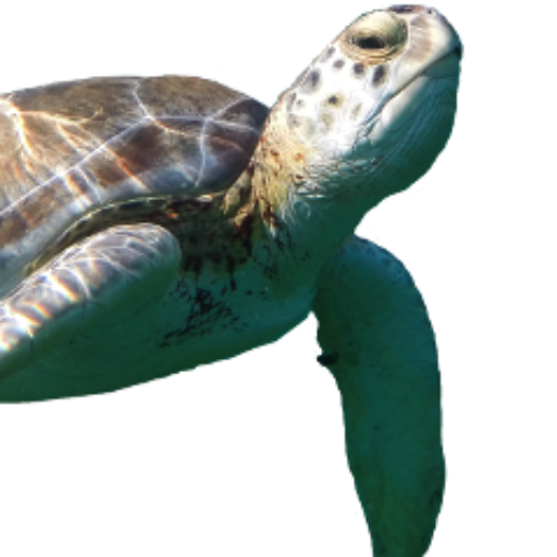 What Are The Main Investment Types?